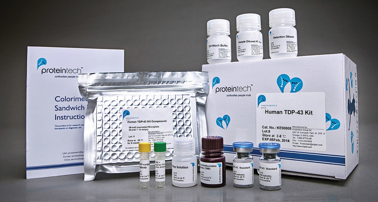 会社概要 | Proteintech Group | 抗体 & ELISAキット